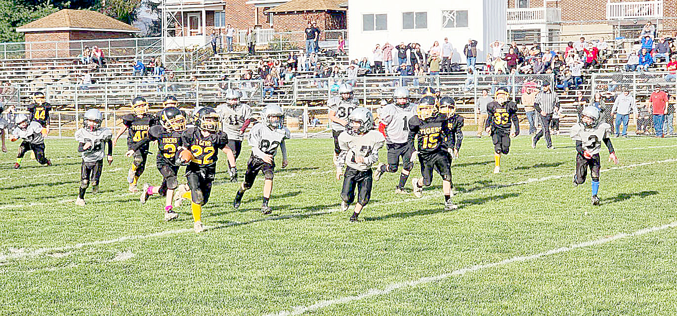 TONED TerraceTigers | News, Sports, Jobs - The Sentinel